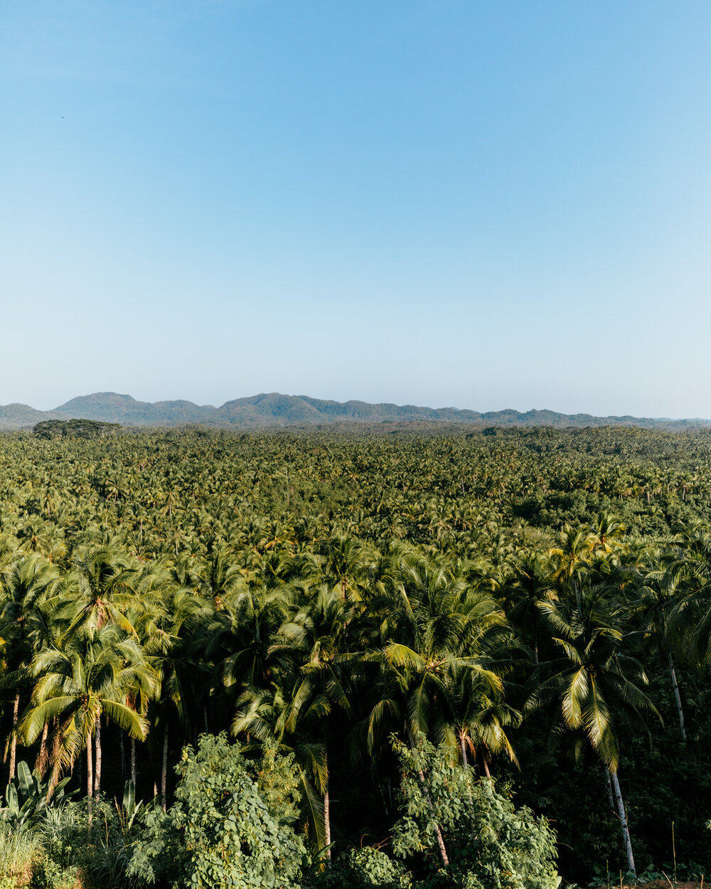 Siargao Travel Guide. | Our Travel Passport - Travel Blog