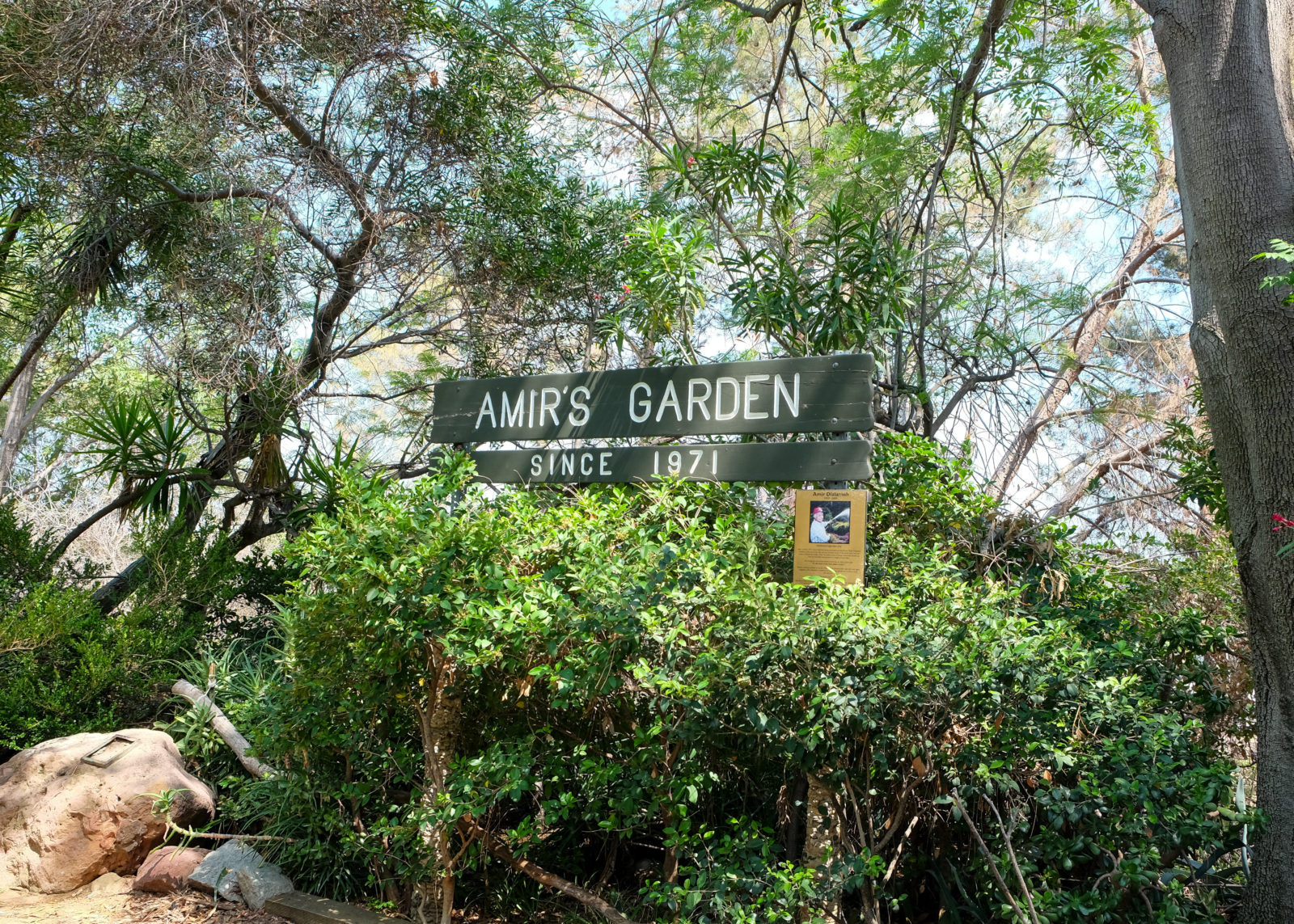 4 Family Friendly Hikes in Griffith Park | Our Travel Passport