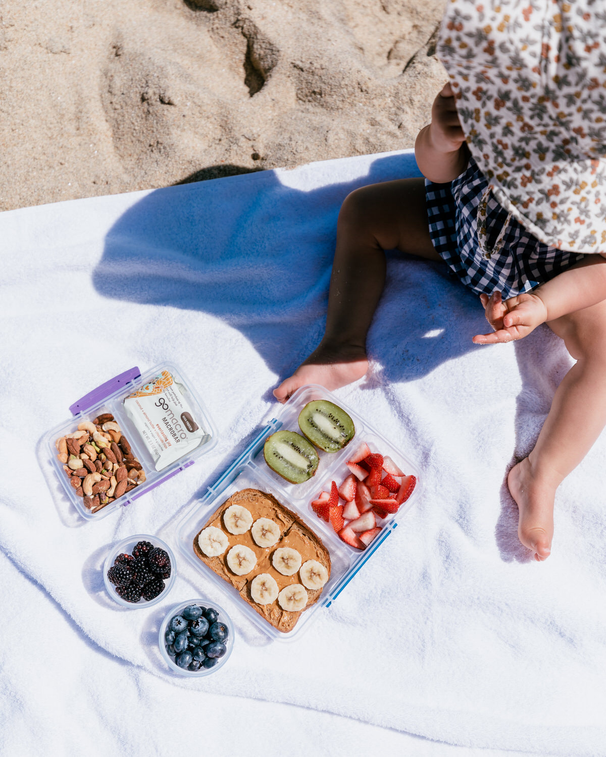 The Best Way to Pack Healthy Snacks While Traveling - Our Travel Passport