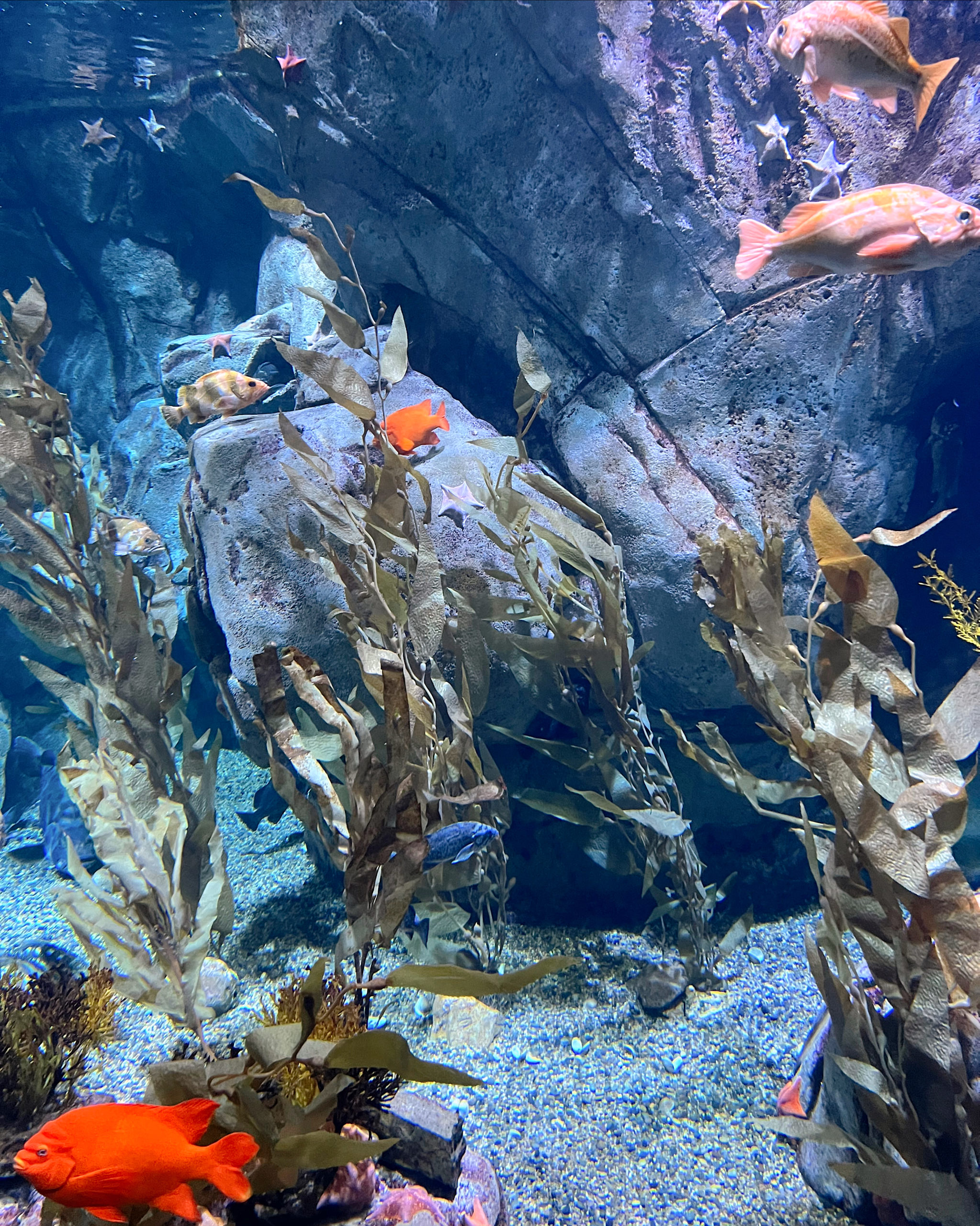 Long Beach, California Travel Guide | Our Travel Passport