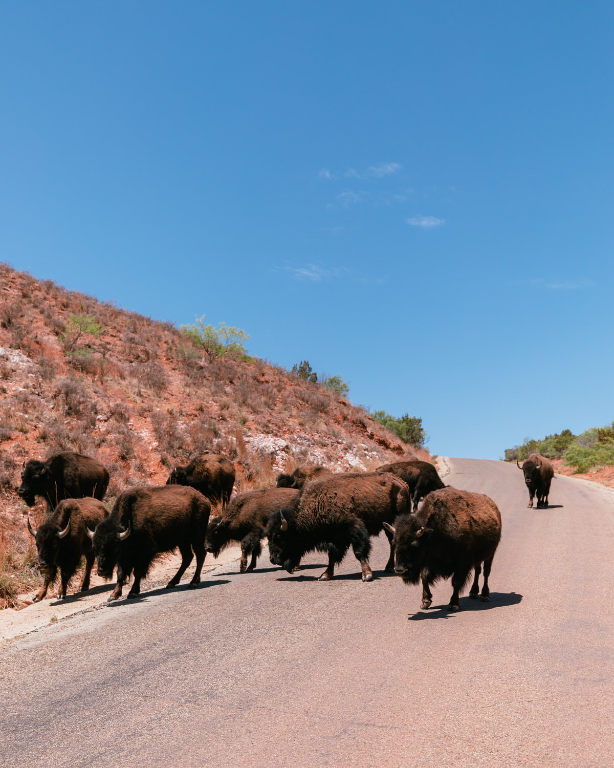 What to do in Lubbock, Texas. | Our Travel Passport