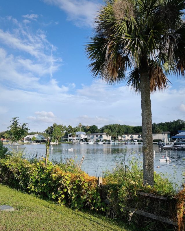 8 Things to do in Crystal River, Florida - Our Travel Passport