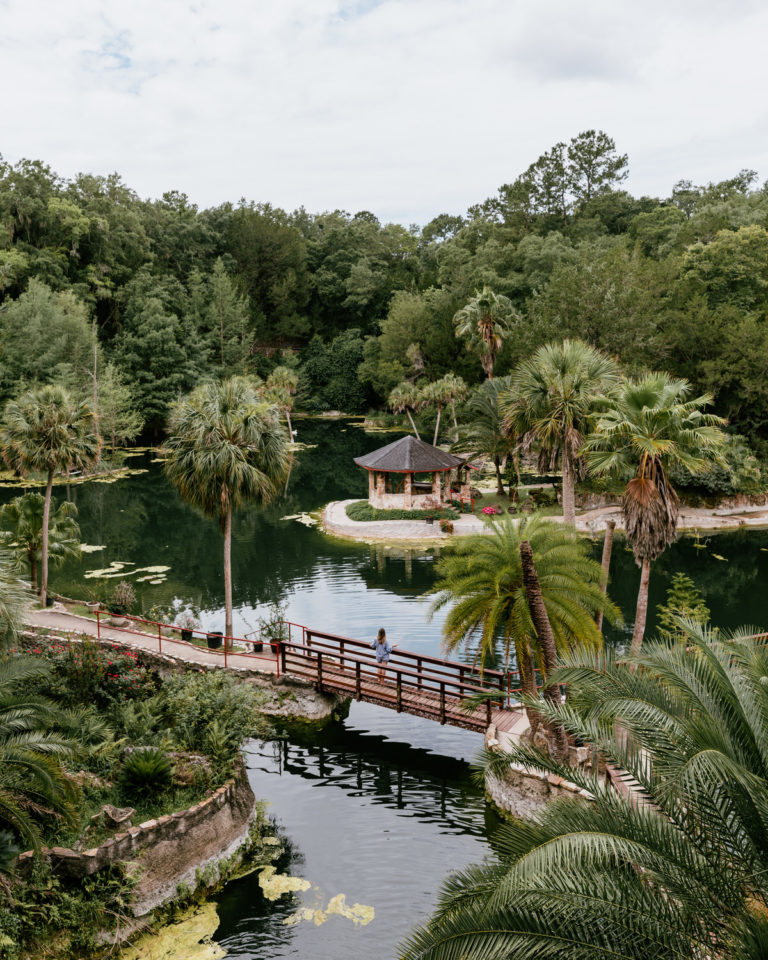 8 Things to do in Cedar Key, Florida - Our Travel Passport