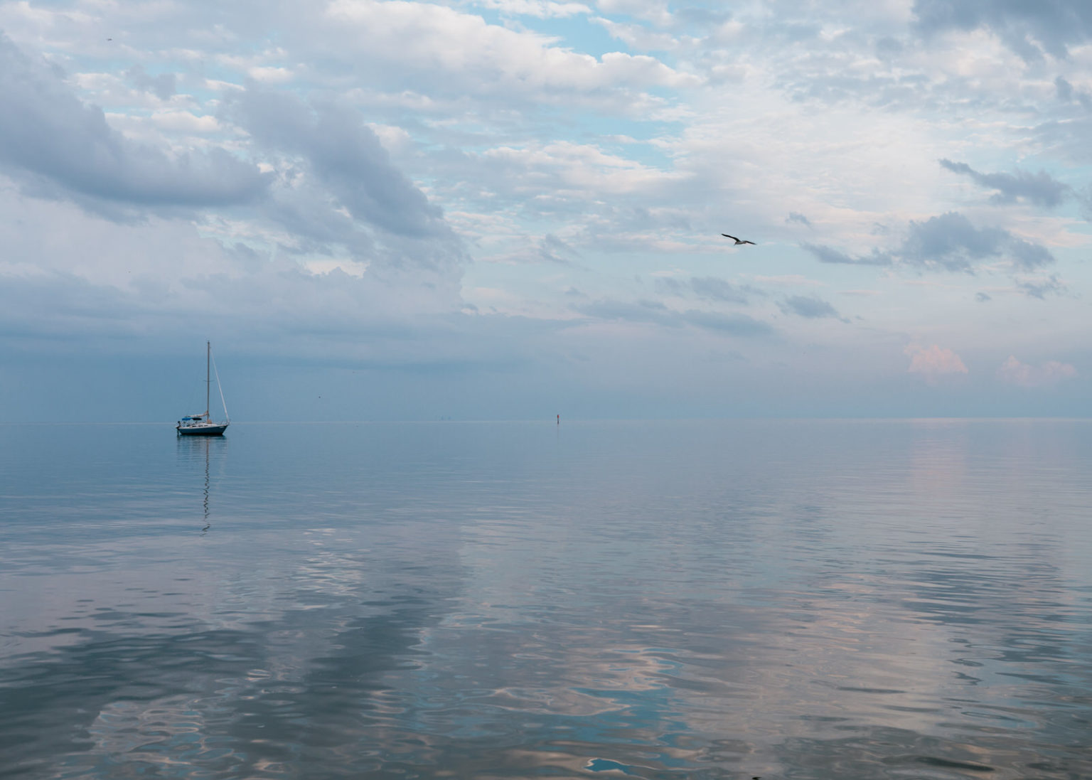 8 Things to do in Cedar Key, Florida - Our Travel Passport